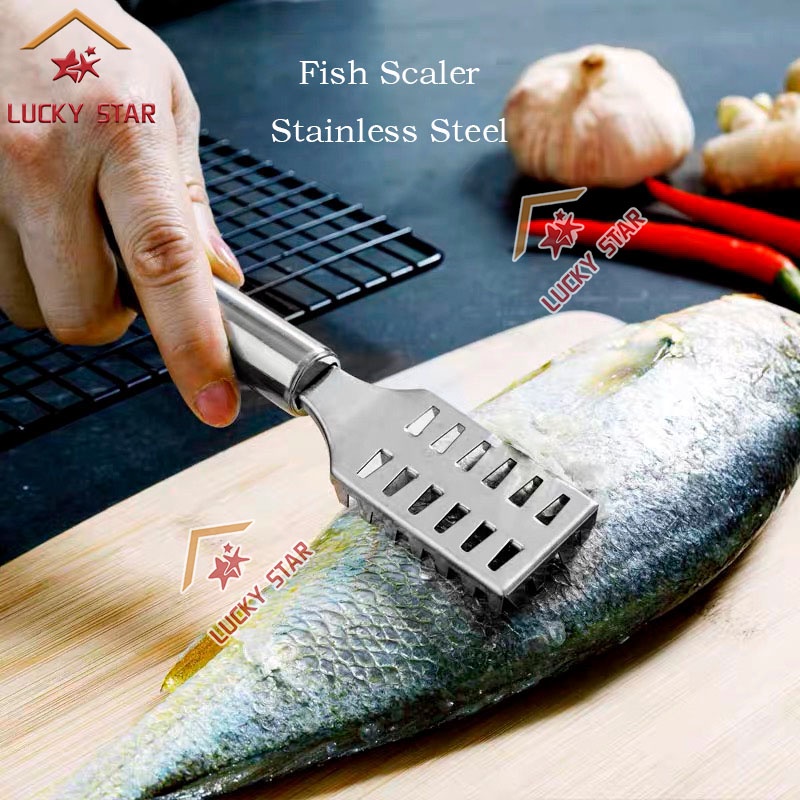 Fish Scaler Stainless / Pang-kaliskis / Fish Scale Remover / LUCKY STAR ...