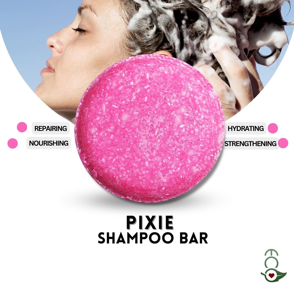 Eco Premium Pixie Shampoo and Conditioner Bar 65g - Aloe Vera Hair ...