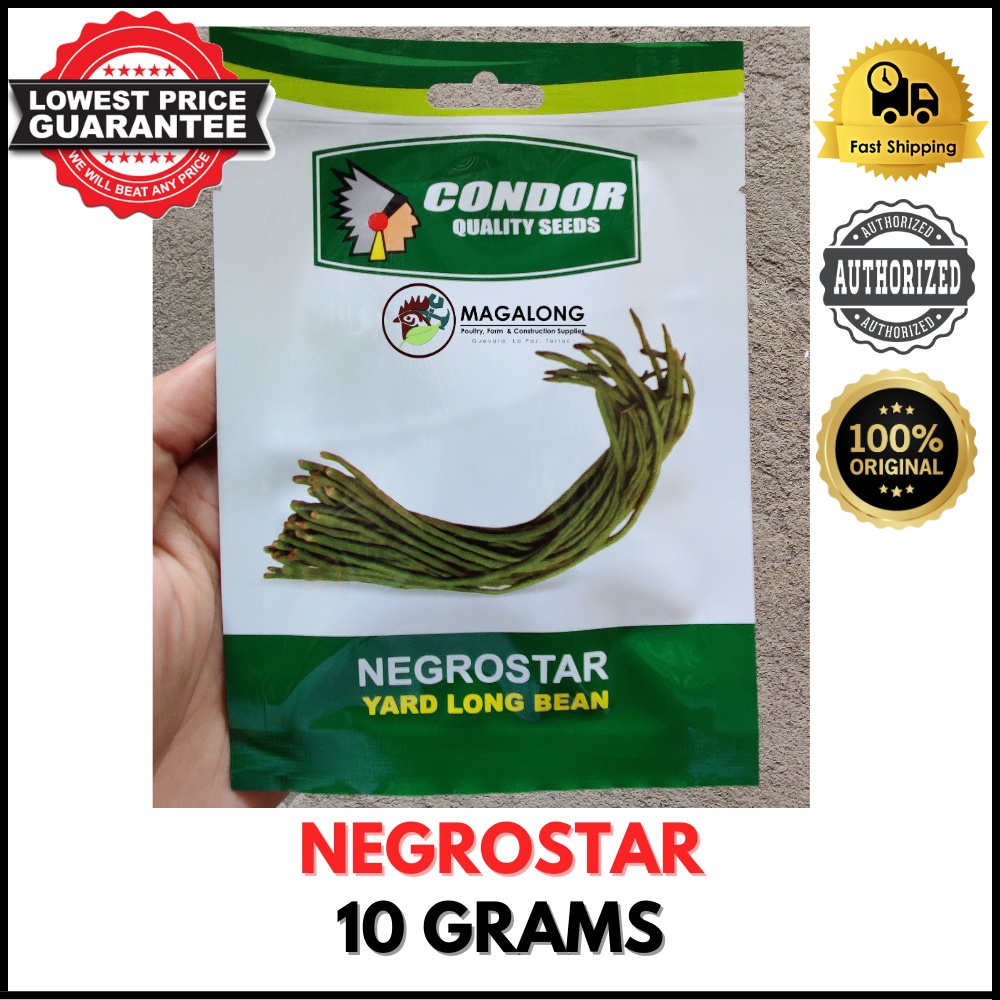 CONDOR SEEDS - POLE SITAO / SITAW SEEDS - NEGROSTAR 10 Grams | Shopee ...