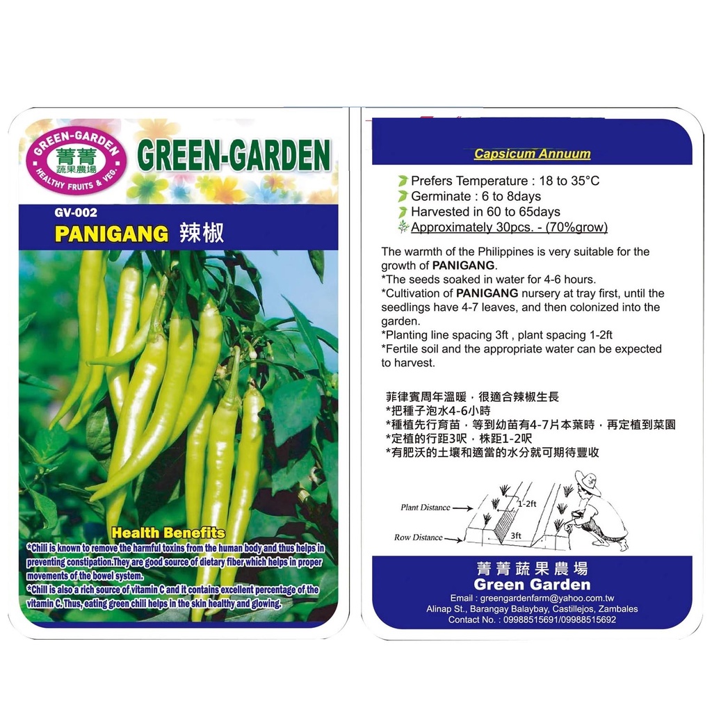 Green Garden Vegetable Seeds Hot Pepper Panigang GV-002 KECORP_S1 ...
