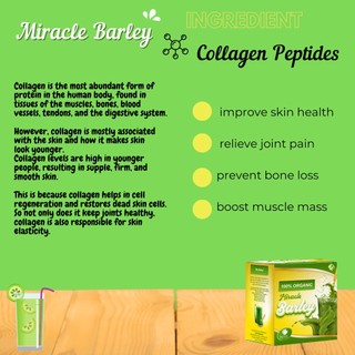FDA Approved Miracle Barley 210g with Collagen, Sodium Ascorbate Bacopa ...