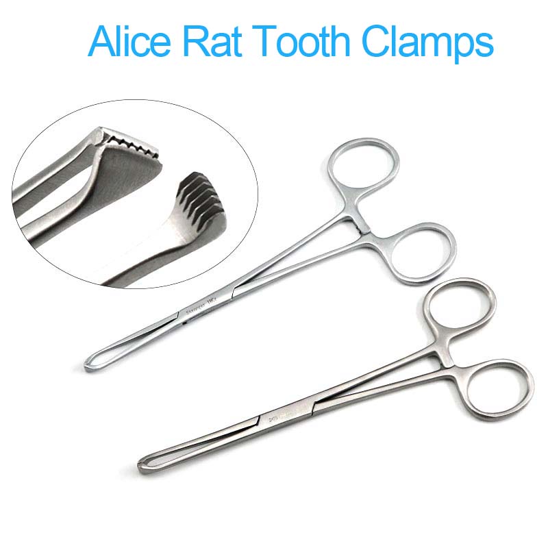 Alice Rat Tooth Clamps Pet Orthopaedic Surgical Instruments Tissue ...