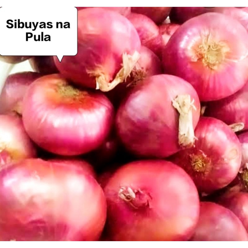 RED ONION/Sibuyas na Pula/Pulang Sibuyas250 grams,500grams,1 kilo (SHIP ...