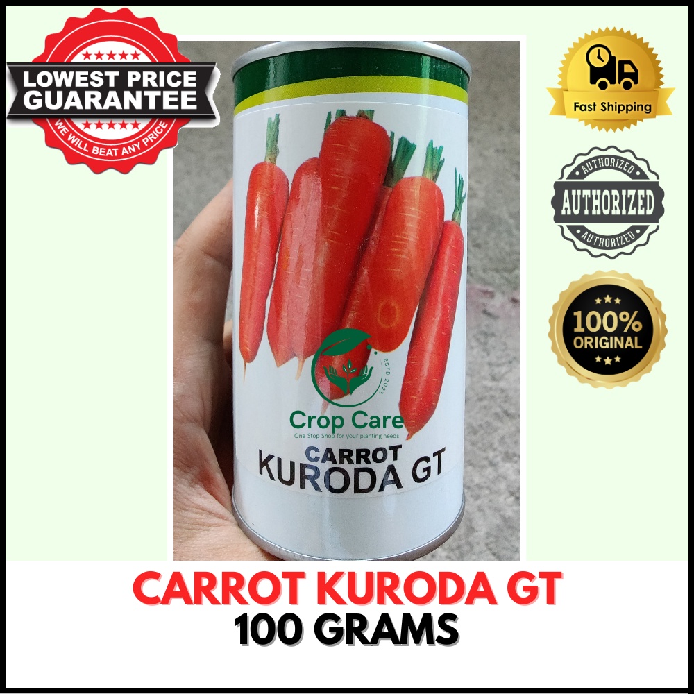 CONDOR SEEDS - CARROT SEEDS - KURODA GT 100 Grams | Shopee Philippines