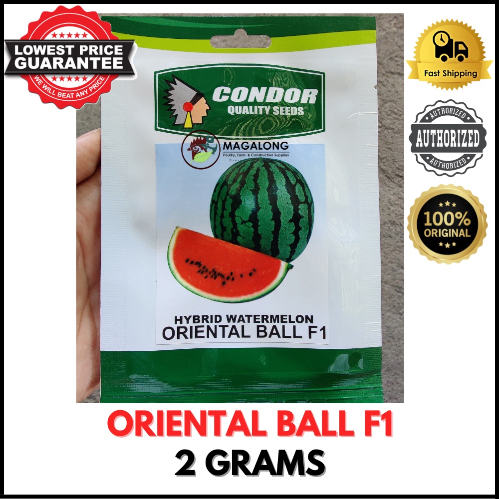 CONDOR SEEDS - WATERMELON SEEDS - ORIENTAL BALL F1 HYBRID 2 Grams ...