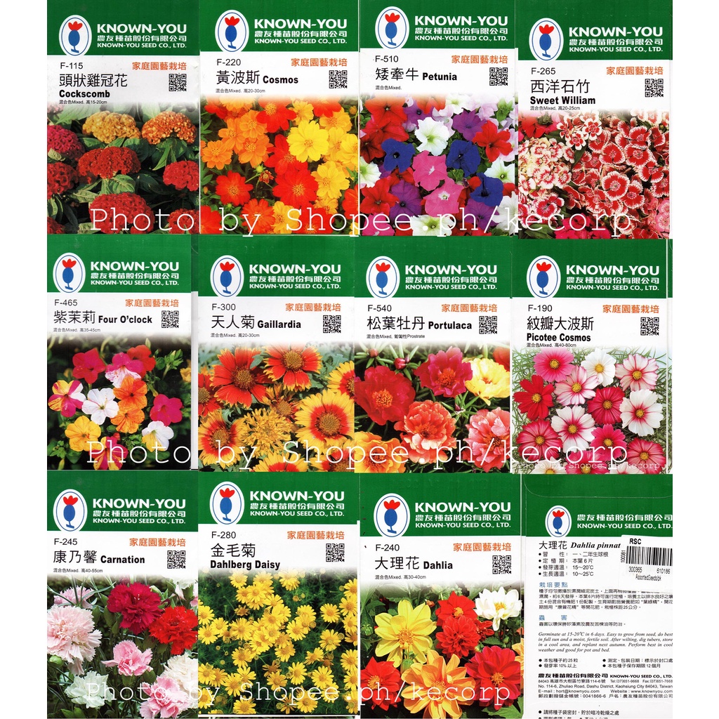 Known-You Flower Seeds - Sold per Pack per Variety S4 GDSFPH_S4 ...