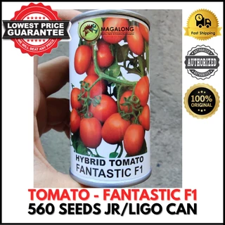 tomato seed - Best Prices and Online Promos - Oct 2025 | Shopee Philippines