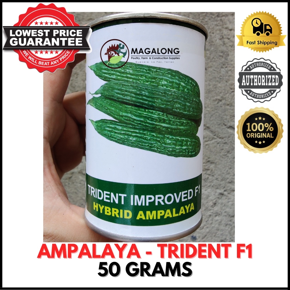 CONDOR SEEDS - AMPALAYA SEEDS - TRIDENT F1 HYBRID - 50 Grams | Shopee ...