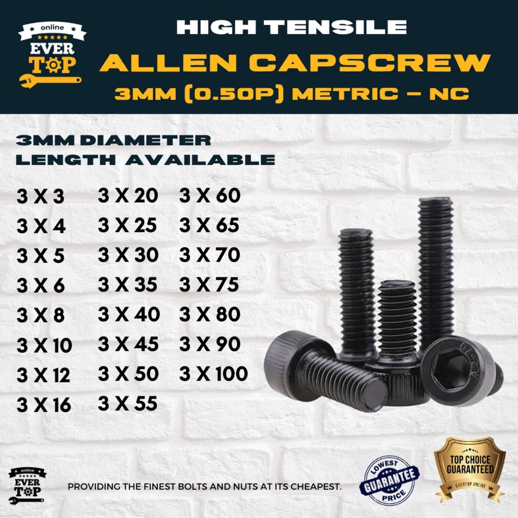 3MM (0.50P) HIGHTENSILE ALLEN CAPSCREW 10PCS | ALLEN SOCKET HEAD BOLT ...