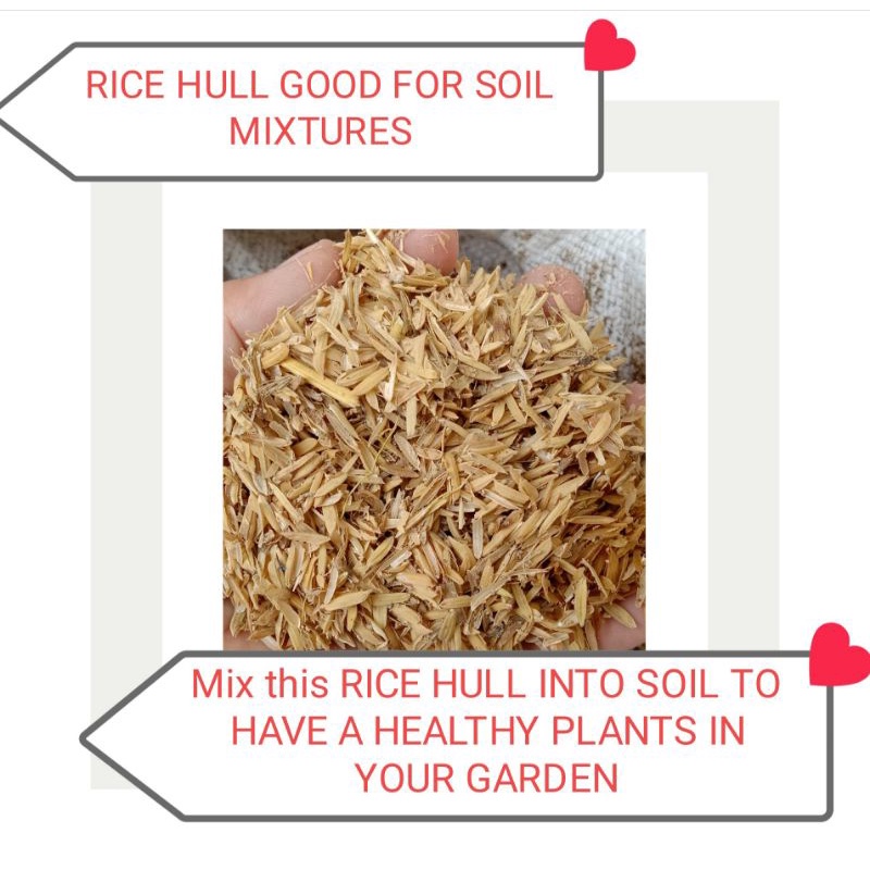 100 GRAMS FRESH RICE HULL FOR PLANTS | Shopee Philippines