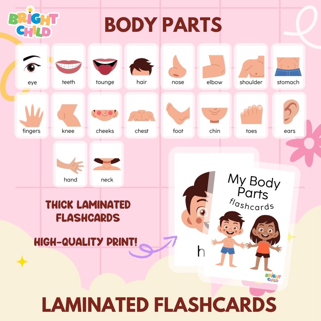 BODY PARTS FLASHCARDS - CUTE ILLUSTRATION WITH RINGBIND - THICK ...