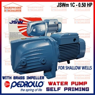 Shop pedrollo water pump for Sale on Shopee Philippines