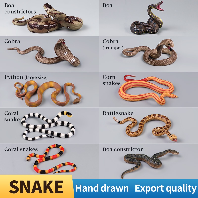Simulation Insect Model Children's Tricky Toy Animal Python Cobra ...