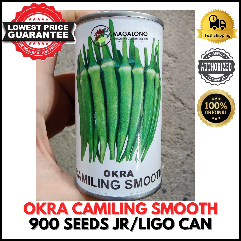 CONDOR SEEDS - OKRA SEEDS - CAMILING SMOOTH 900 Seeds - JR CAN / LIGO ...