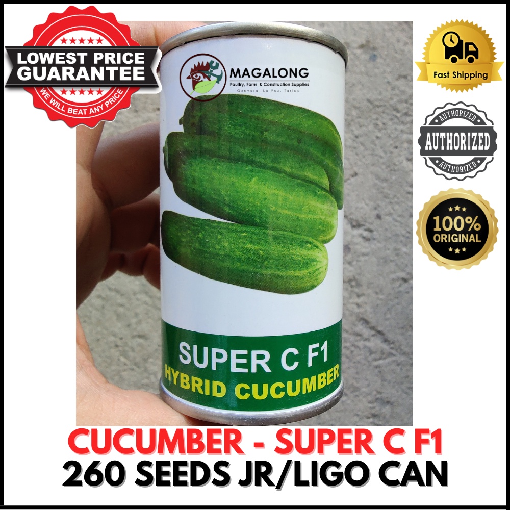 CONDOR SEEDS - CUCUMBER SEEDS - SUPER C F1 HYBRID 260 Seeds - JR CAN ...