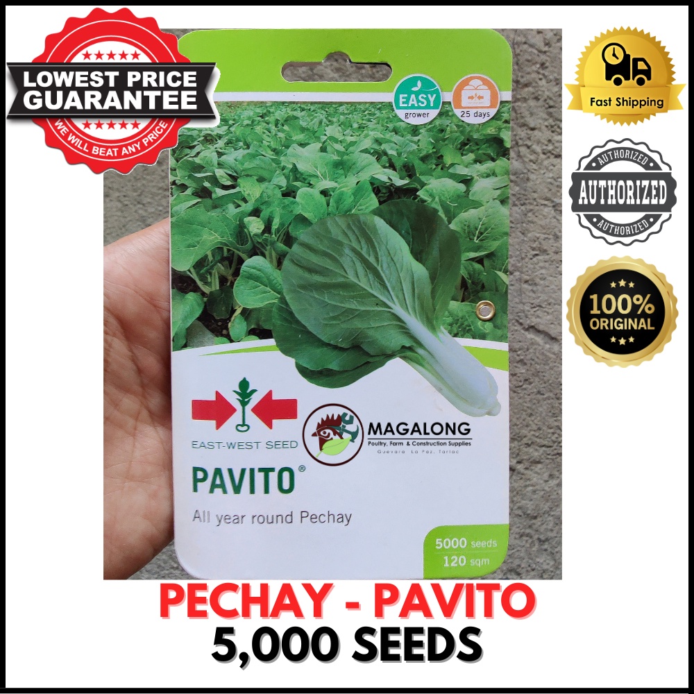 EAST-WEST SEEDS - PECHAY SEEDS - PAVITO 5,000 Seeds | Shopee Philippines
