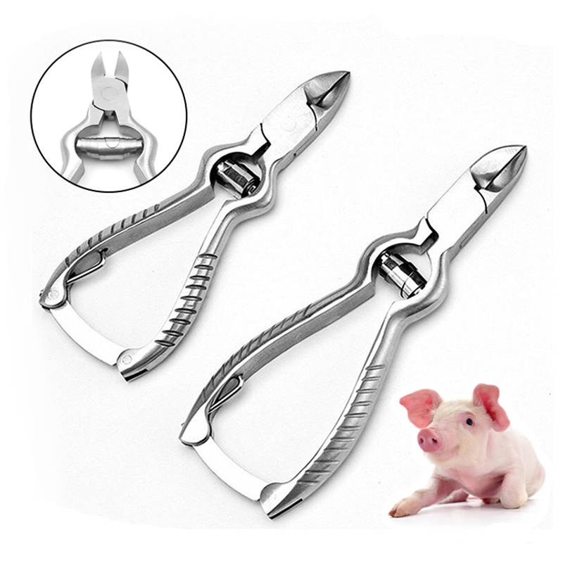 14cm Stainless Steel Piglets Teeth Cutter Elbow Teeth Clipper for Pigs ...
