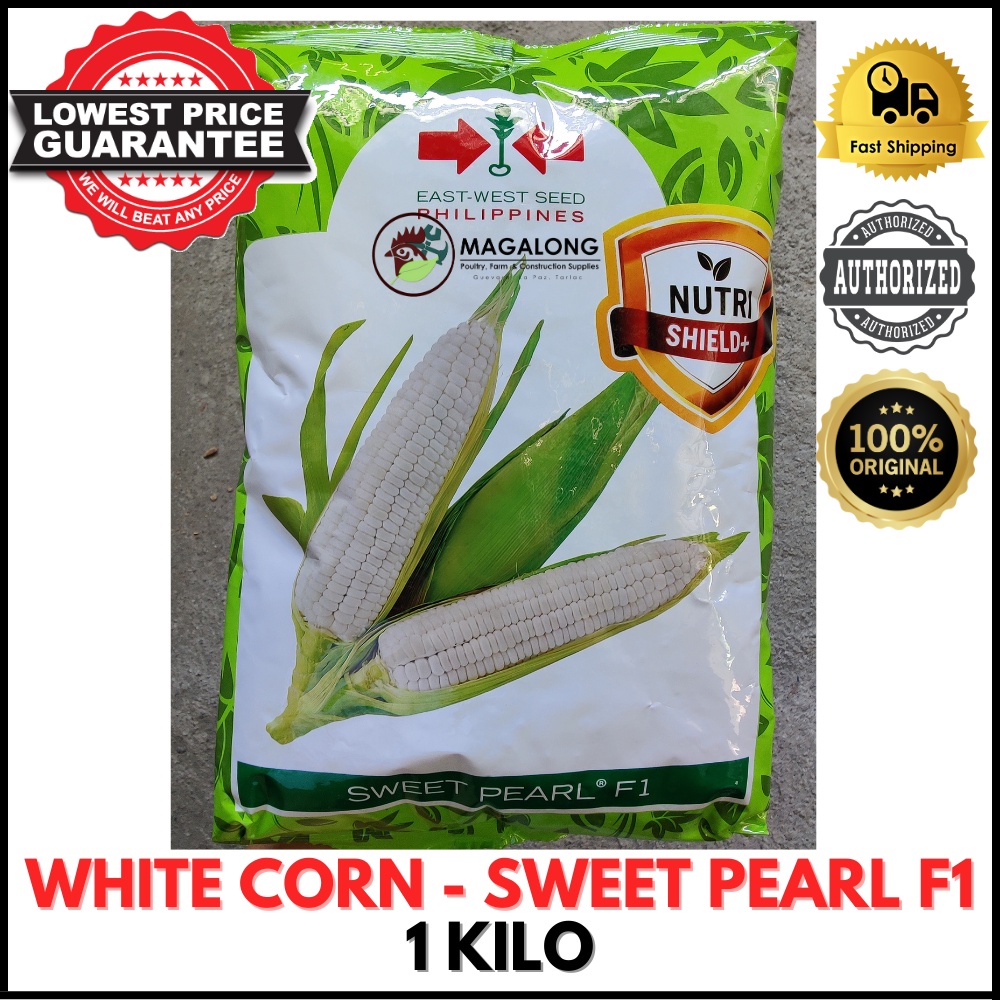 EAST-WEST SEEDS - SWEET PEARL F1 / ANG PUTING SWEET CORN / PUTING MAIS ...