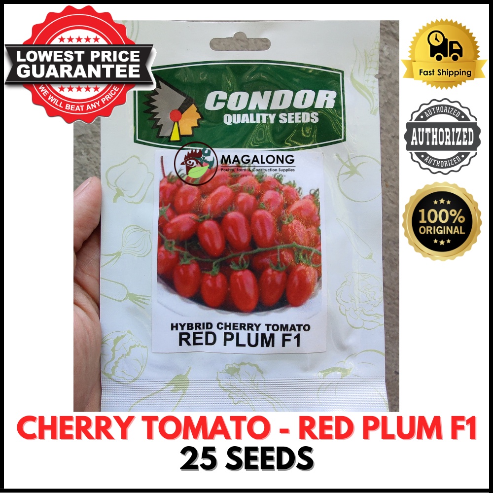 CONDOR SEEDS - CHERRY TOMATO SEEDS - RED PLUM F1 HYBRID 25 Seeds ...
