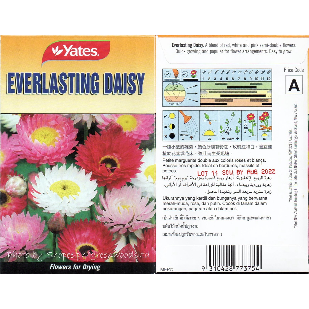 Yates Flower EVERLASTING DAISY SeedS KECORP_S1 | Shopee Philippines