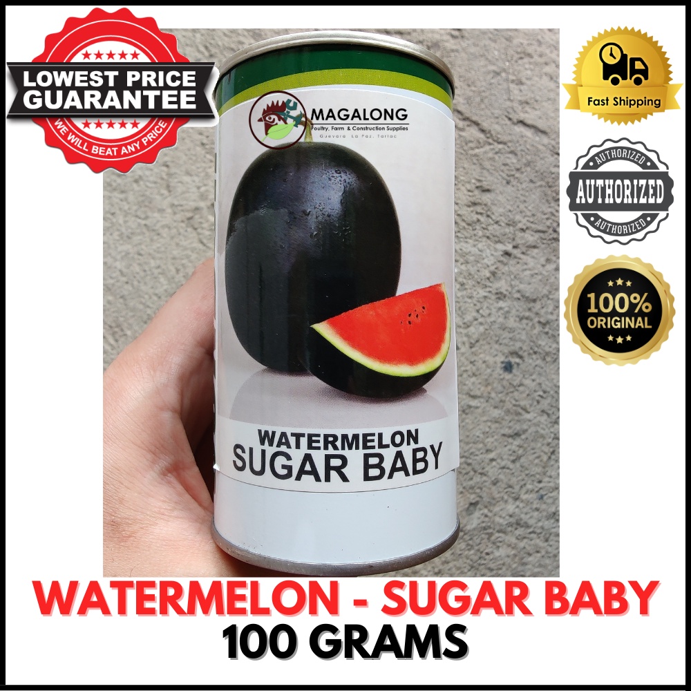 CONDOR SEEDS - WATERMELON SEEDS - SUGAR BABY 100 GRAMS | Shopee Philippines