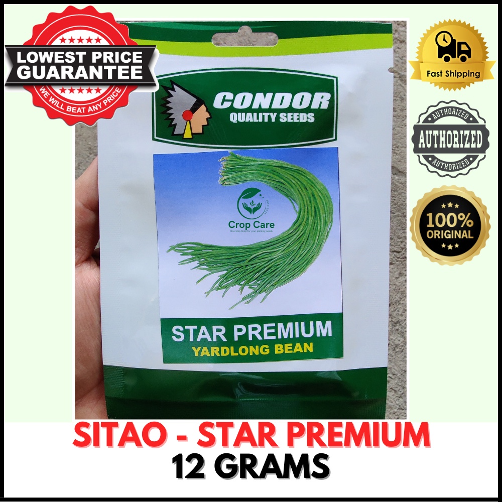 CONDOR SEEDS - POLE SITAW SEEDS - STAR PREMIUM 12 Grams - YARDLONG BEAN ...
