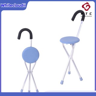 Cane Seat Combo 400 LBS Capacity Portable Cane Stool Handy Folding ...