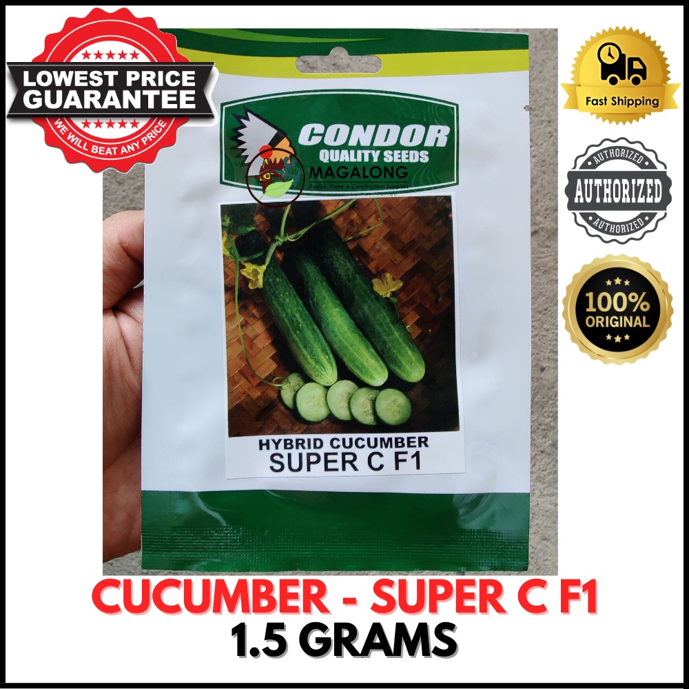 CONDOR SEEDS - CUCUMBER SEEDS - SUPER C F1 HYBRID 1.5 Grams | Shopee ...