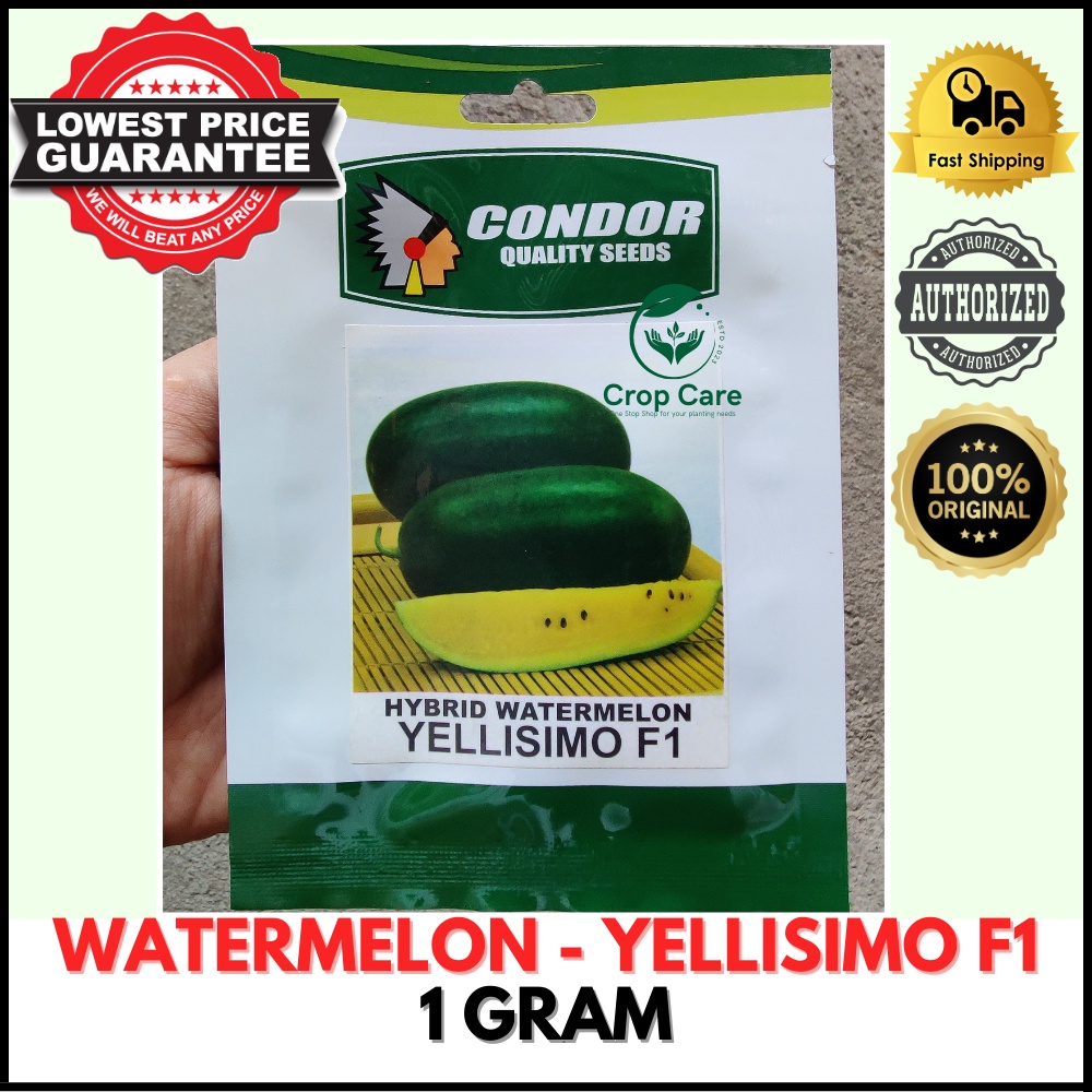 SEEDS - WATERMELON SEEDS - YELLISIMO F1 HYBRID 1 Grams | Shopee Philippines