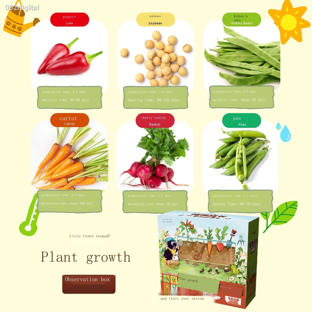 Seeds Small flower farmers plant growth observation box root system ...