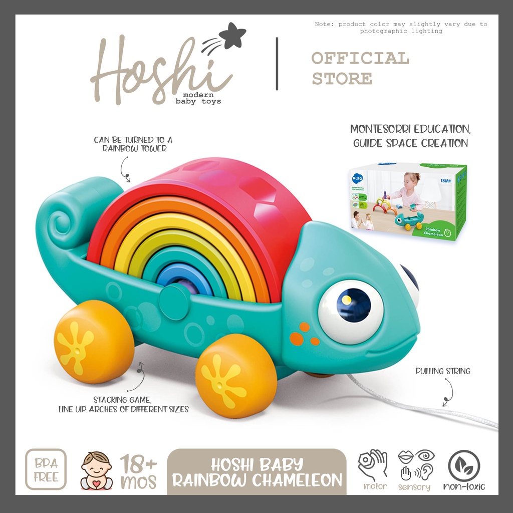 Hoshi Baby x Hola Rainbow Chameleon, Montessori Style, Educational ...