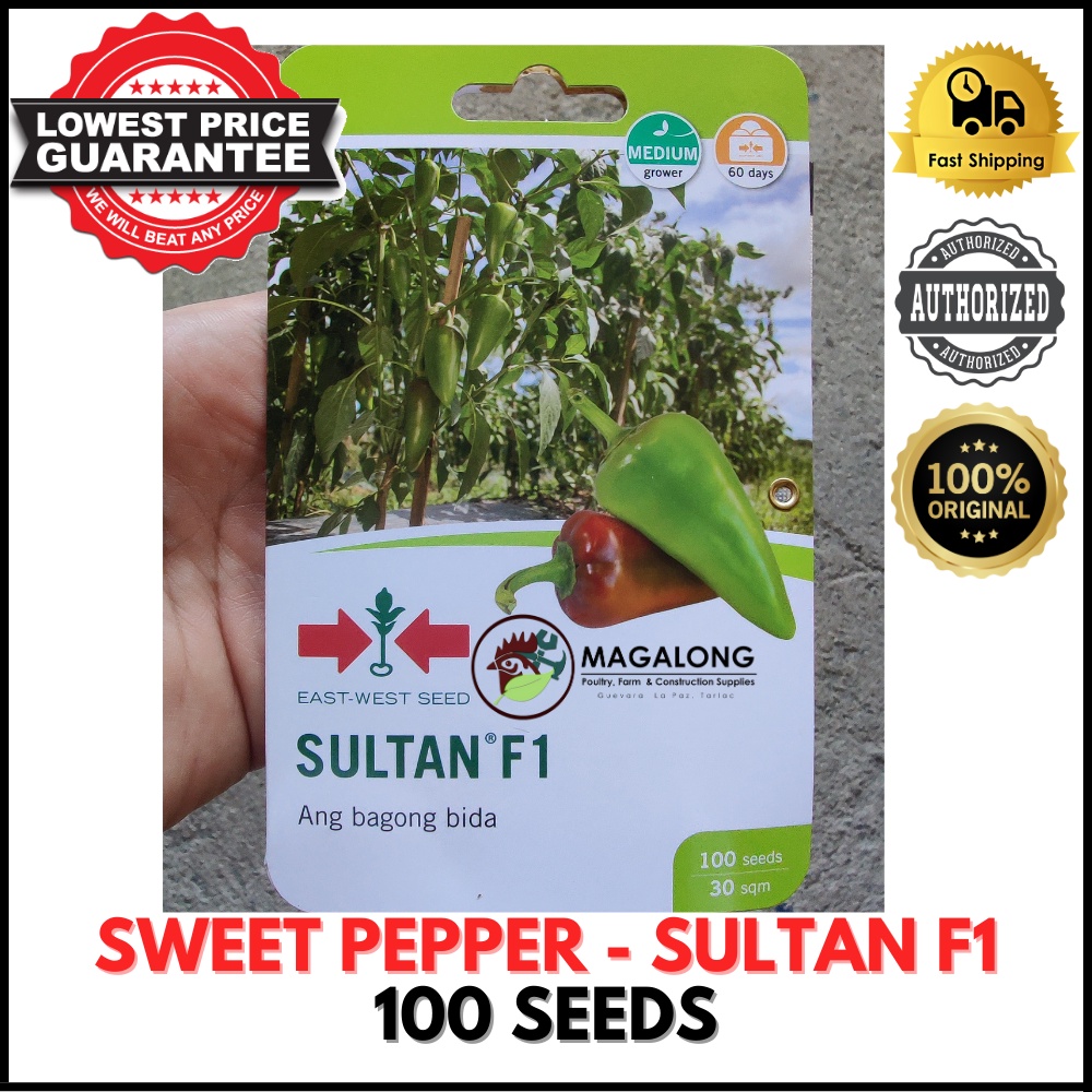 EAST-WEST SEEDS - SWEET PEPPER SEEDS - SULTAN F1 HYBRID 100 SEEDS ...