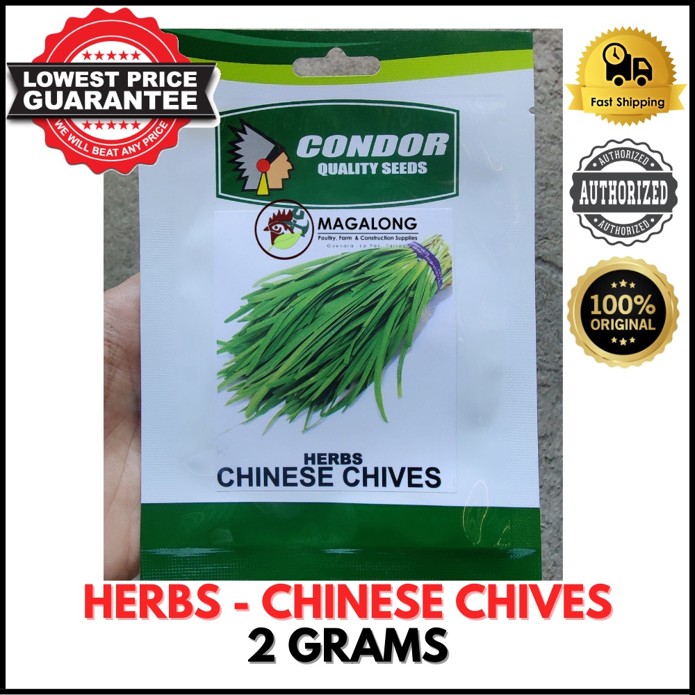 CONDOR SEEDS - HERB SEEDS - CHINESE CHIVES - 2 GRAMS | Shopee Philippines