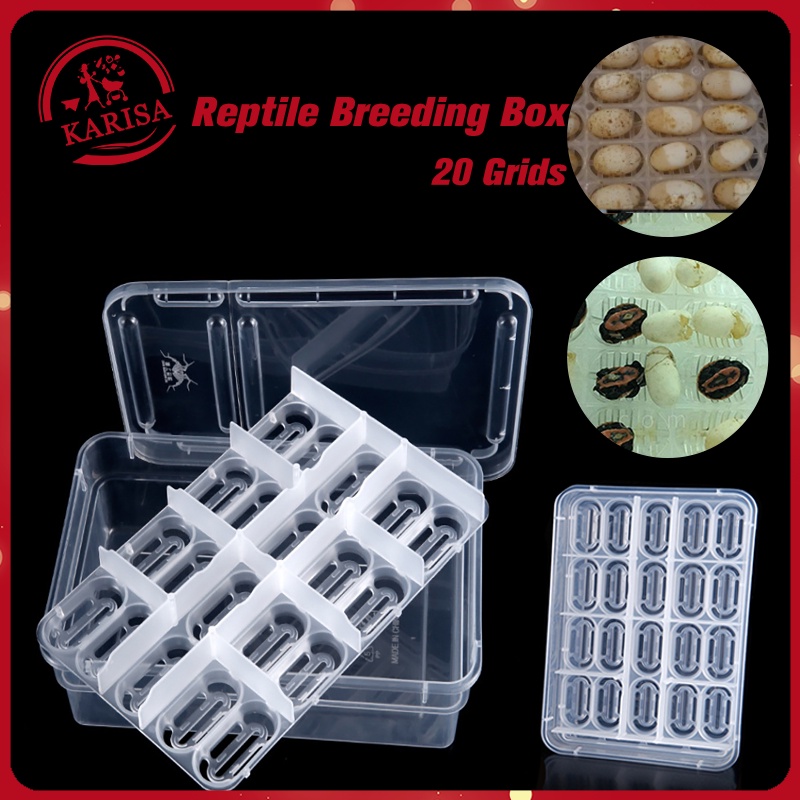 Reptile Feeding Box Transparent Snake Breeding Box Animal Habitat Cage ...