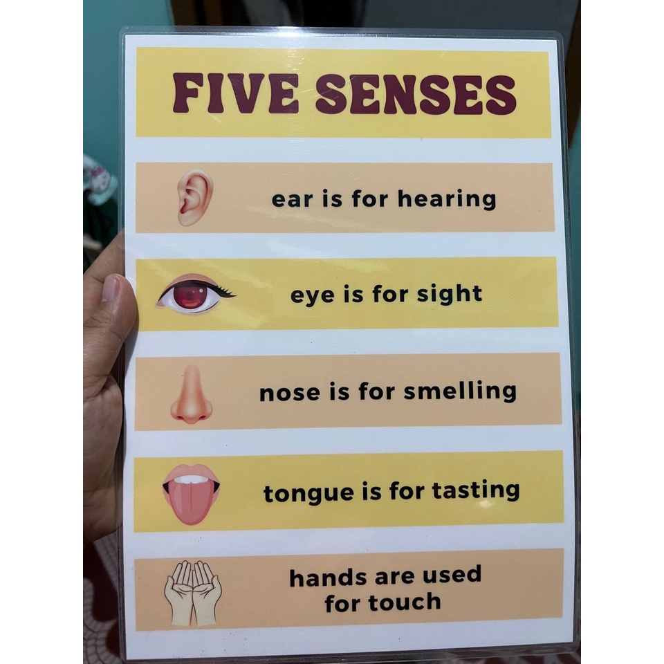 Learning materials and educational chart for kids Laminated A4 Size ...