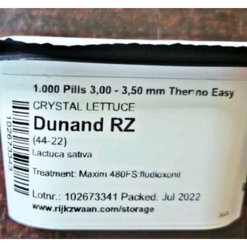 DUNAND RZ CRYSTAL LETTUCE seeds LIKE LALIQUE (1000 pills) RIJK ZWAAN ...