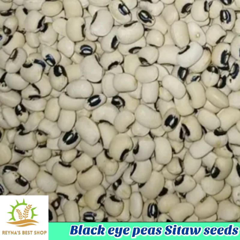 white beans Sitaw seeds 500g. | Shopee Philippines