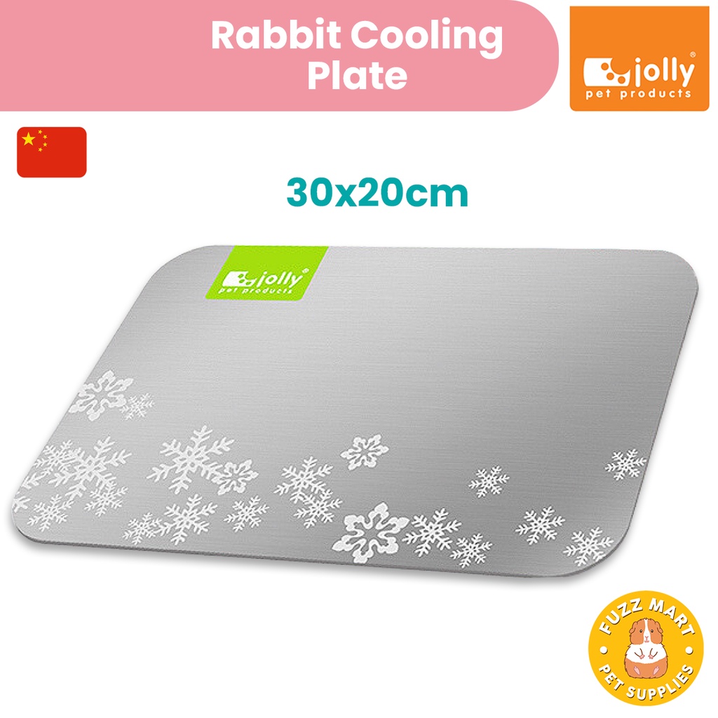 Jolly Rabbit Cooling Plate - Cooling Pad Essential for Summer | Shopee ...