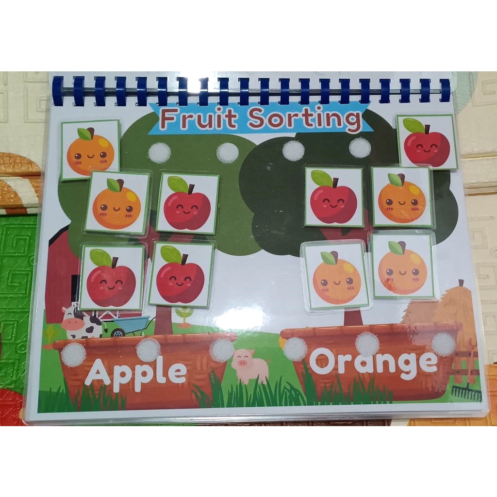 Fruits Color Sorting Interactive Laminated Toddlers / Preschool ...