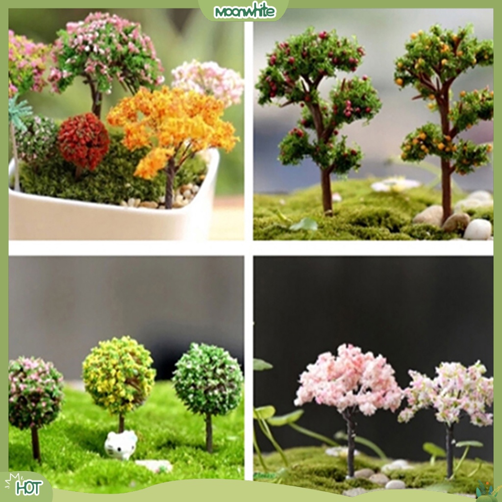 (MOONWHITE) Miniature Sakura Plum Willow Tree Plants Fairy Garden ...