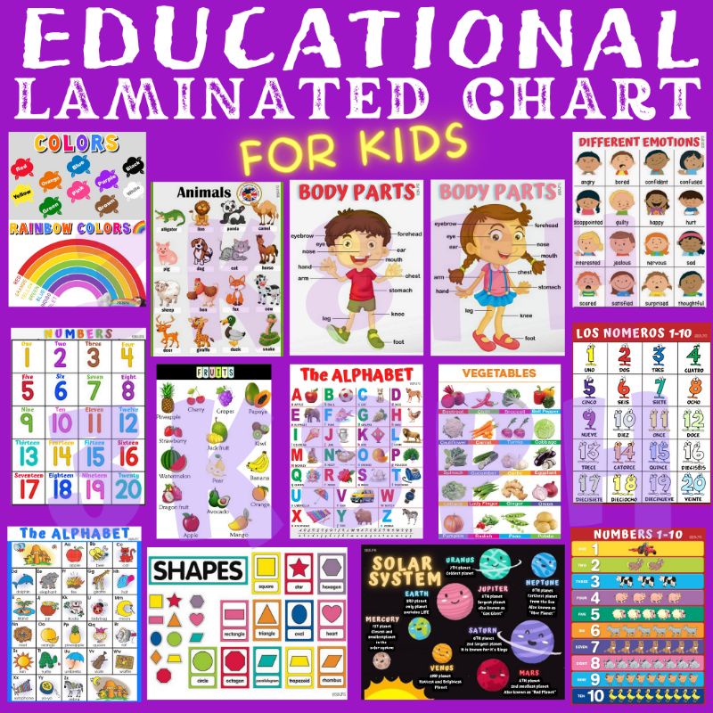 EDUCATIONAL LEARNING LAMINATED WALL CHART FOR KIDS | FOR BABY TODDLER ...