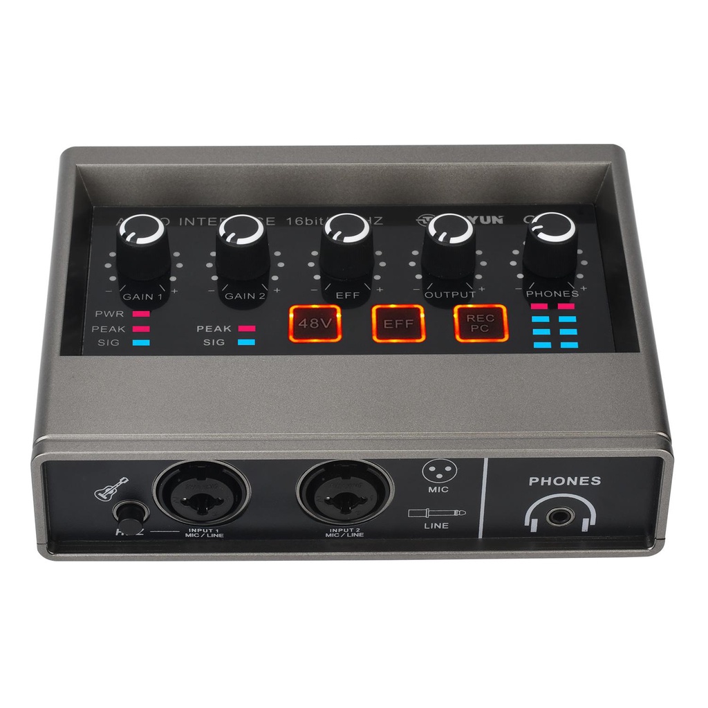 TEYUN Echo Effects 2 Channel Audio Interface PC Studio Recording for ...