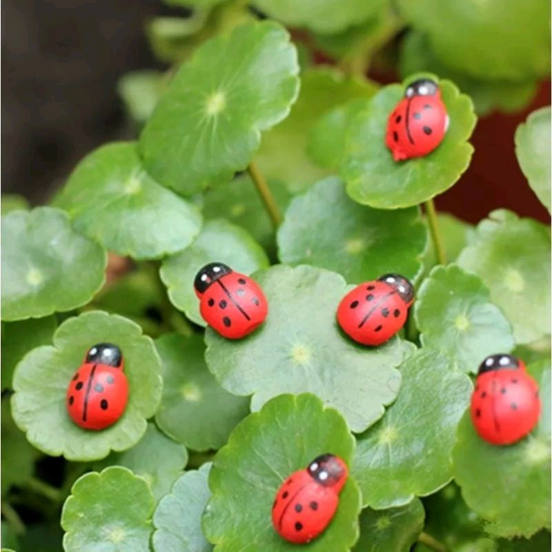 2pcs Ladybug Animal Bug Fairy Garden Landscape Model Diorama Dollhouse ...