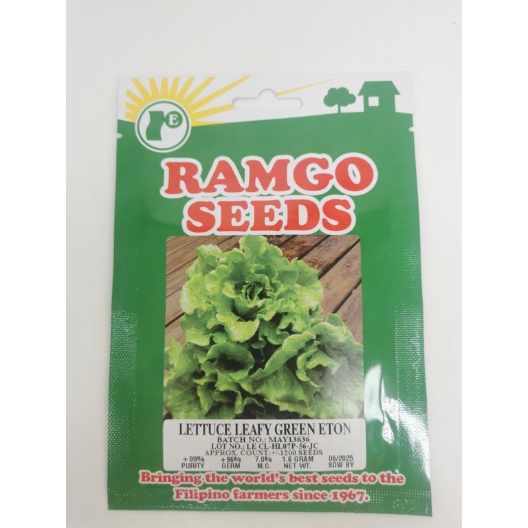 RAMGO LETTUCE LEAFY GREEN ETON SEEDS ( ORIGINAL GARDEN PACK ) | Shopee ...