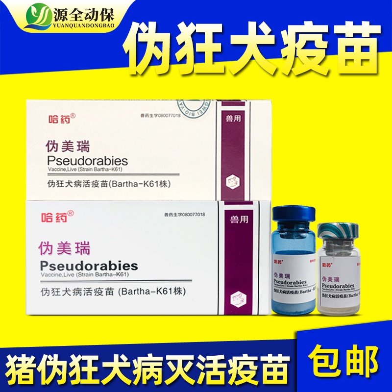 Pig vaccine sow piglet pseudorabies inactivated vaccine can spray nasal ...