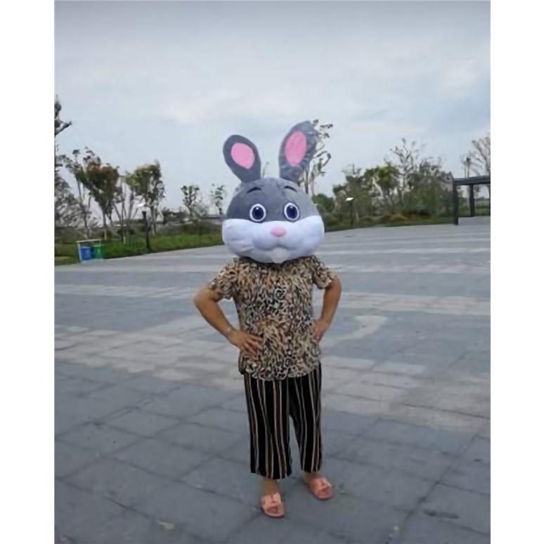 Factory Custom Animal Full Bao Head Cover, Mascot Doll, Cheerleading ...