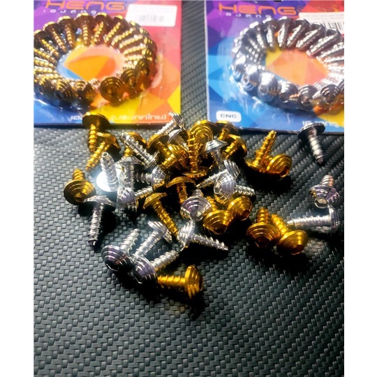 ORIGINAL HENG BOLTS BODY BOLTS MASHROOM TYPE M5X15 SOLD PER 10/20 PCS ...