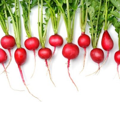 Radish cherry blossom seeds, red radish, 40-100 seeds [buy 10 get 1 ...