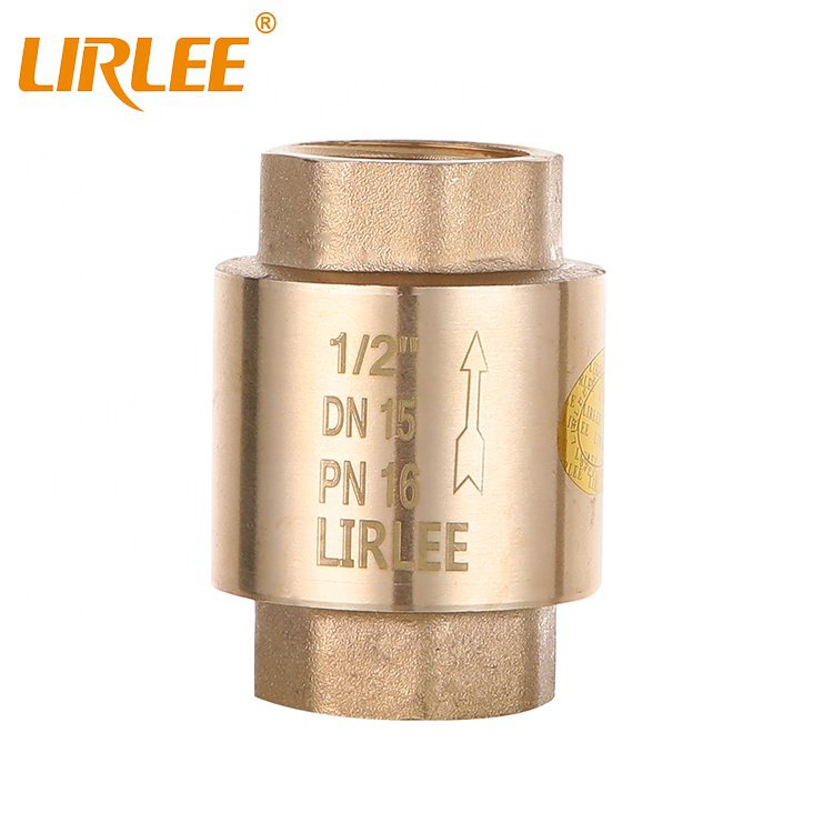 LIRLEE OEM NPT One Way Brass Vertical Check Valve Foot Valve Spring ...