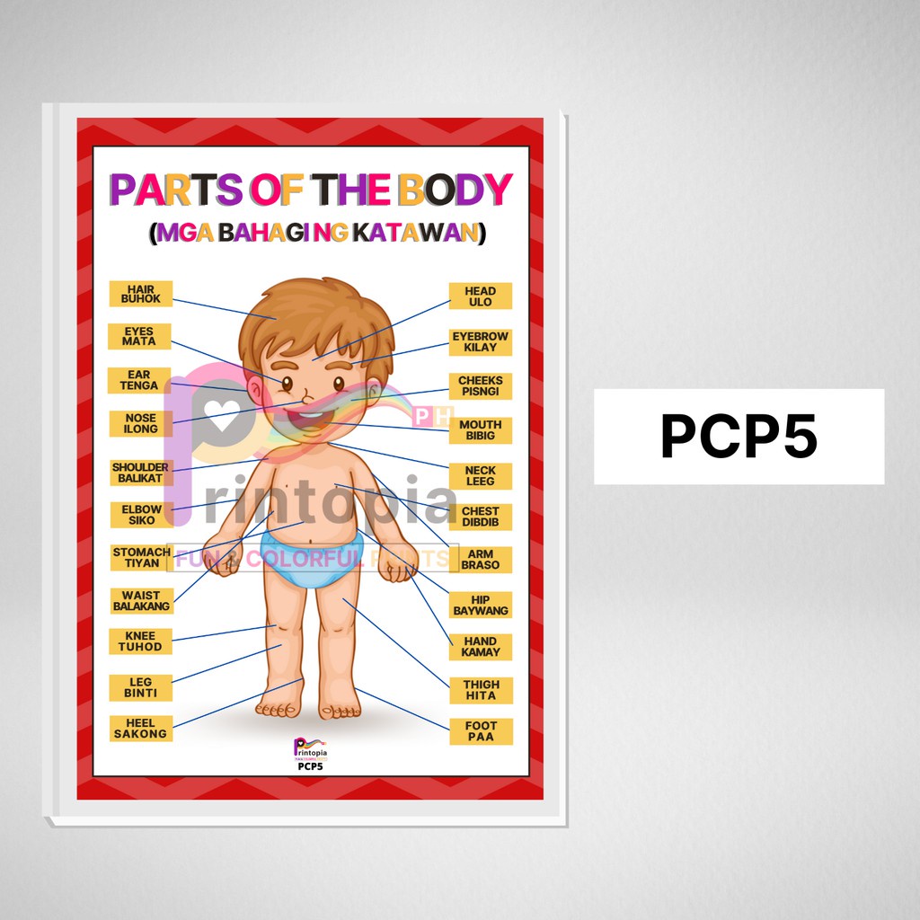 PARTS OF THE BODY English/Tagalog Chart for Kids - Learning Materials ...